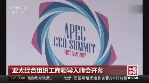 亚太经合组织工商领导人峰会开幕