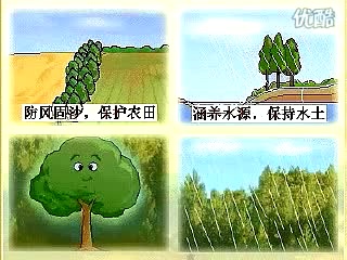 森林的作用