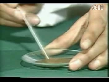 土壤pH值的测定