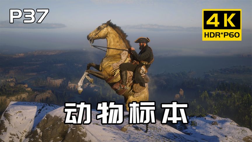 史上第二肝任务,3星动物标本搜集攻略,建议收藏!荒野大镖客2