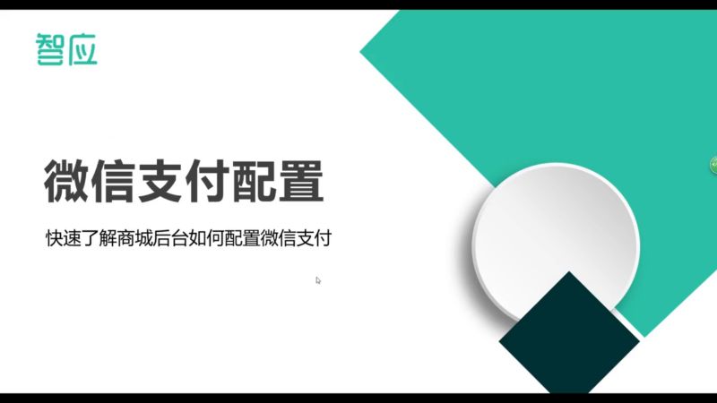 智应 私域电商系统 微信支付 操作篇
