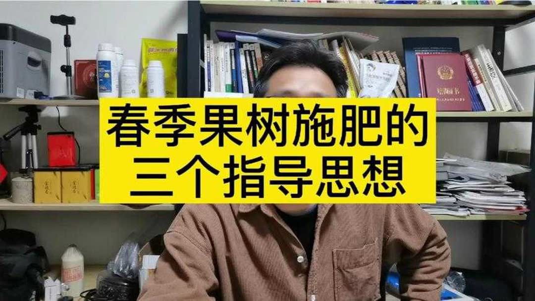春季果树施肥的三个指导思想!生根!速氮!鳞钾同补!
