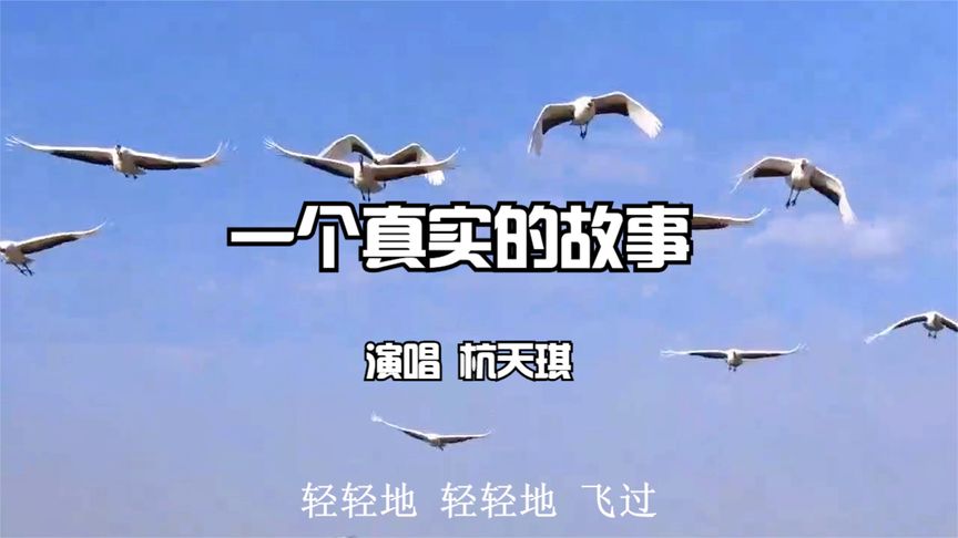 一个真实的故事 演唱杭天琪,谨以此纪念自然保护战线烈士徐秀娟