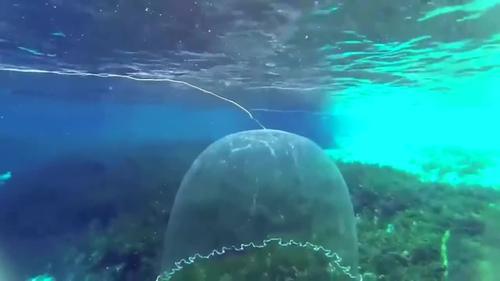 渔网入水捕鱼,想不到在水下是这样的原理,终于明白了!