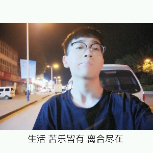 遥远的地方有个鹏飞 