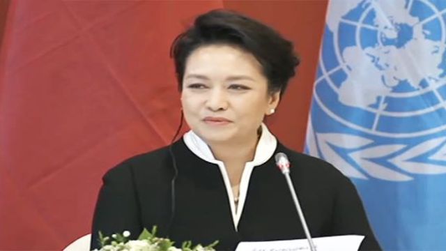 彭丽媛出席联合国教科文组织女童和妇女教育特别会议
