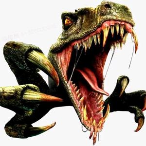 我是横行霸道的阿五 