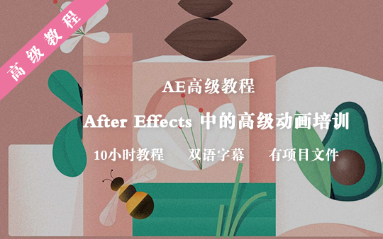 【中文字幕】AE动态图形MG动画视频教程高级技术绑定和表达式案例