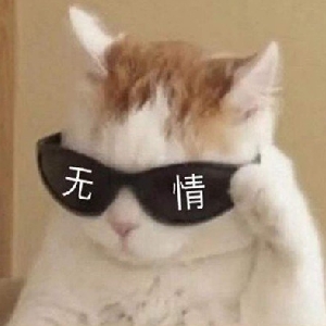 芝士黄油小海苔 