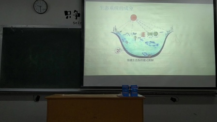 第三章第一节生态系统的结构