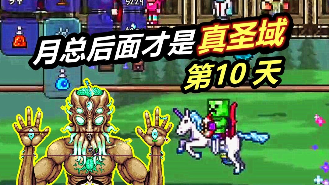 泰拉瑞亚圣域模组10:月总后开启了-真实世界!何为真实?