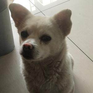 迷航你明明中心 