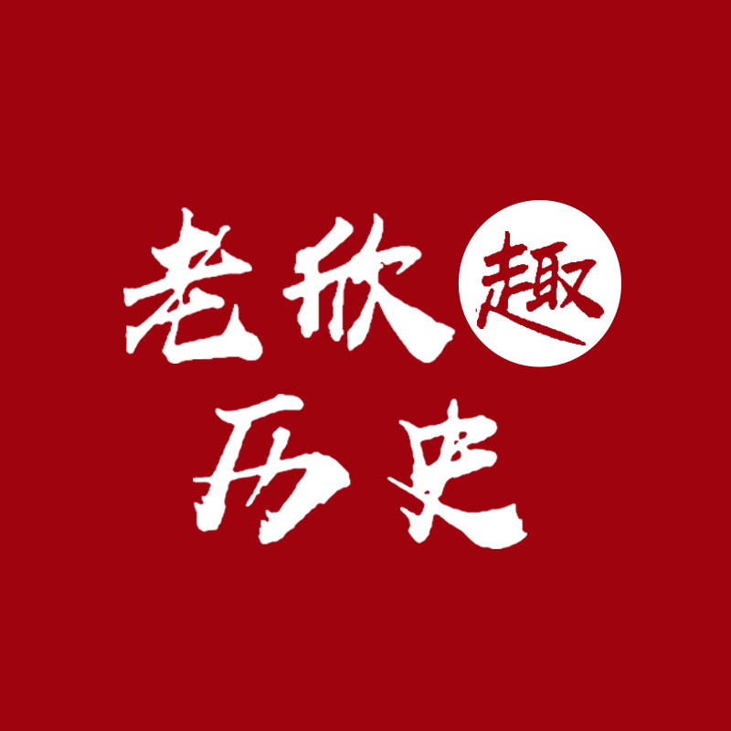 老欣趣历史 