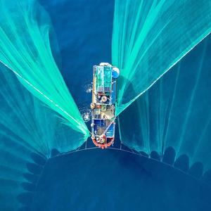 开朗的网友平川 