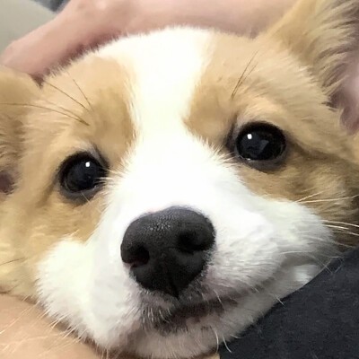 欢欢看漫 