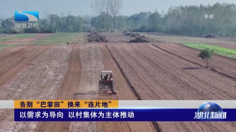 [湖北新闻]加快建设全国构建新发展格局先行区 告别“巴掌田”换来“...