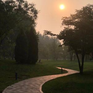 点点老师每日一题 