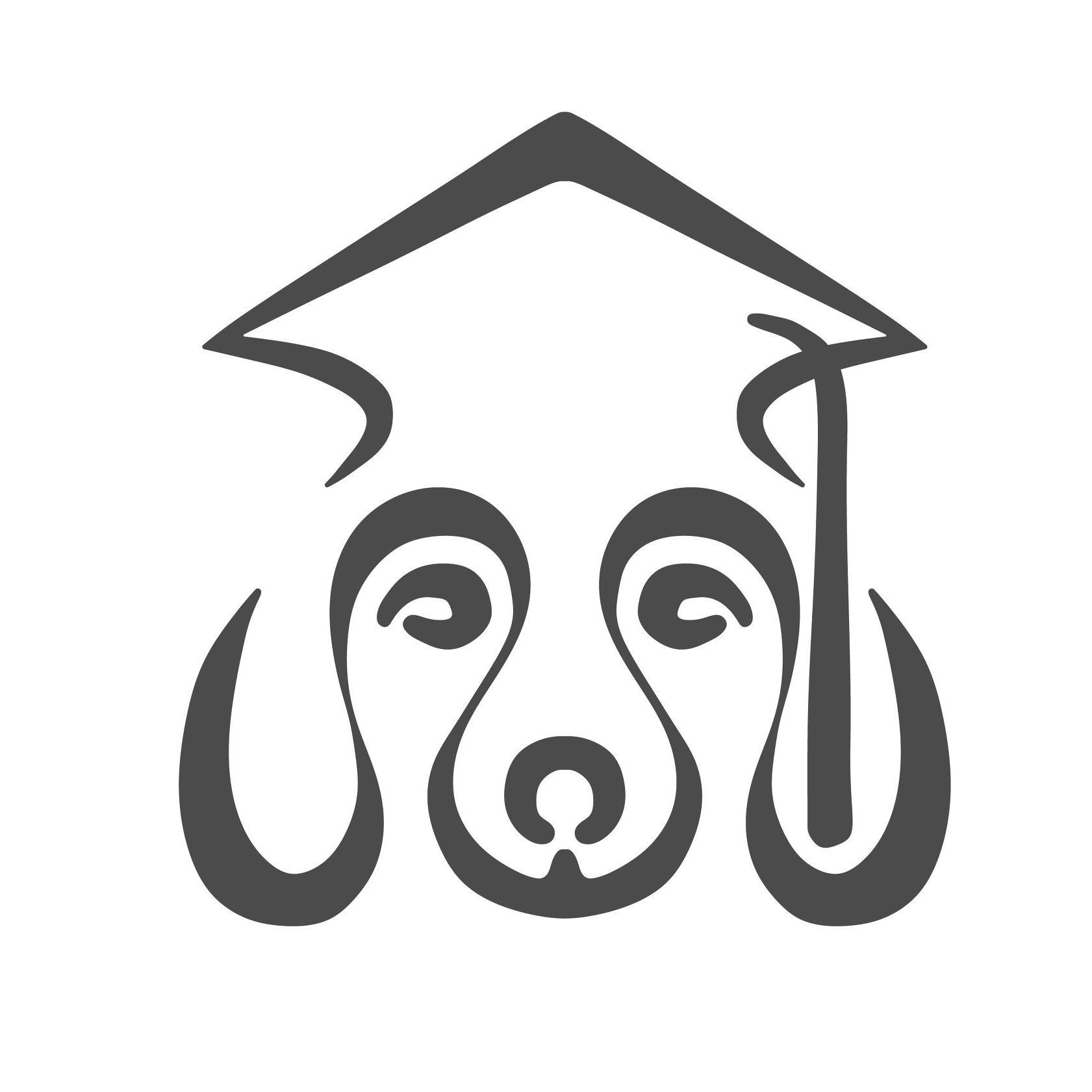 毛老师科学养宠 