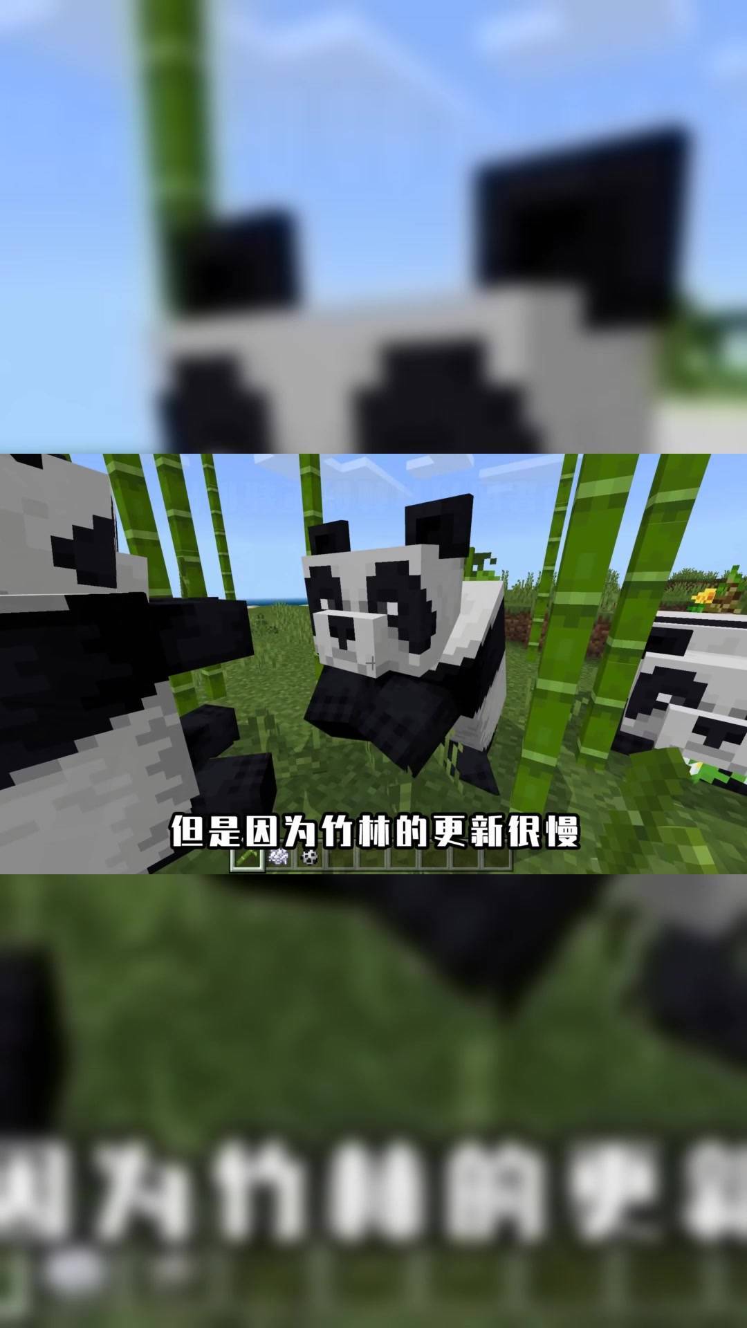 我的世界:冰塔作为MC稀有地形,一般只能靠种子发现