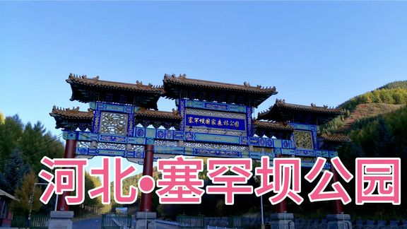 河北塞罕坝国家森林公园风光,一路风光秀美,为什么塞汗塔要25元