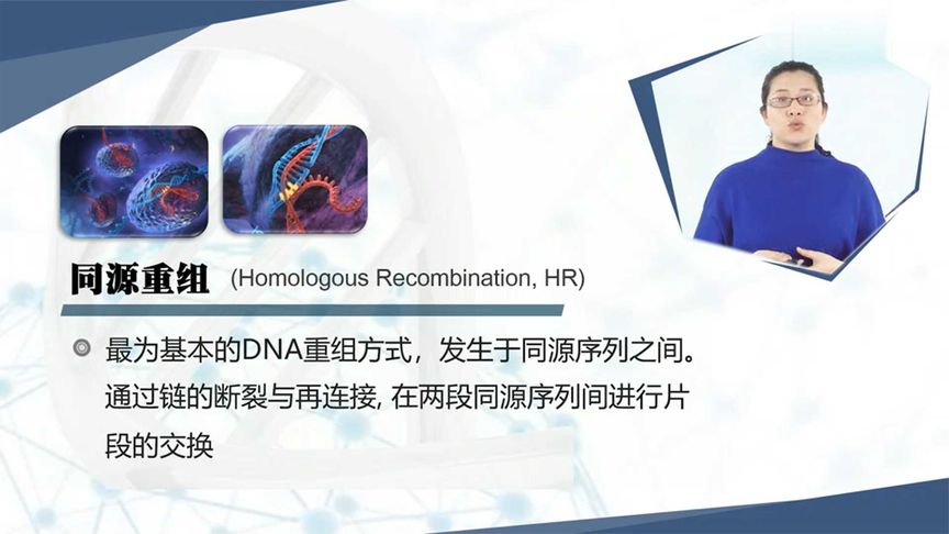 医学分子生物学: 2.1 DNA重组