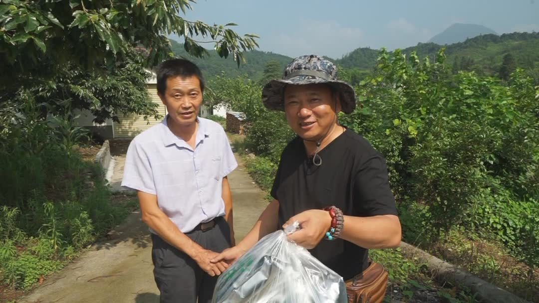 农村茶农家存茶叶吗?为网友找寻高山富硒茶,我们再次进山!