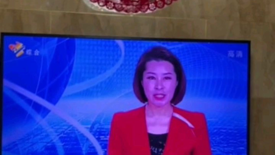 彰武县同吉堂医药连锁有限公司董事长做为人大代表受彰武新闻专题...