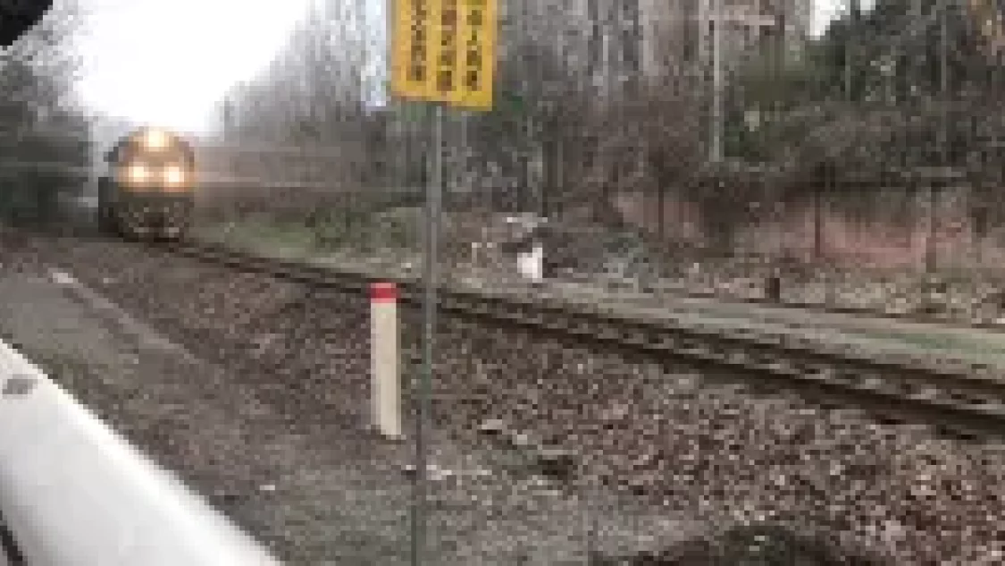 【火车视频 | 南京宁芜铁路拍车】大连站车迷候车室333-烟雨中的轰鸣声