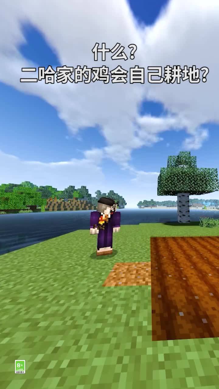 一条指令生成耕地种花鸡!村村的小鸡还会生成钻石??!