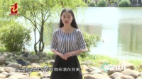 低头族必看——玩手机的正确方法