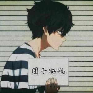 713团长 