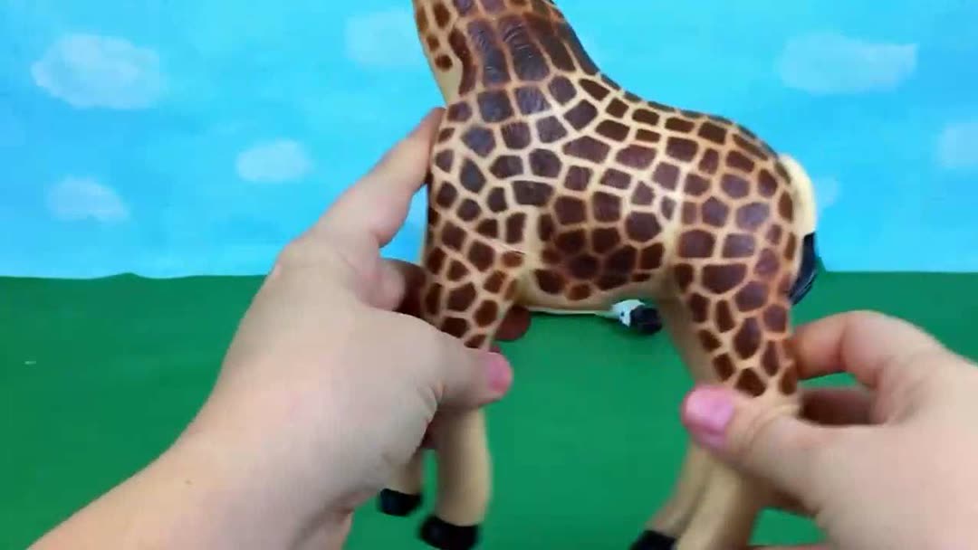 看看这些真实的动物和动物模型之间的区别