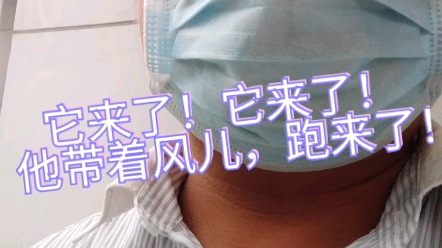 全新悦动大美妞子,它来了!