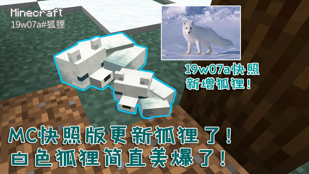我的世界更新狐狸啦!MC最美生物就是它了!我要养一窝白色狐狸!