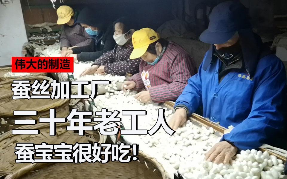 实拍30年蚕丝加工厂!丝绸原来是这样织出来的