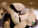 [中华医药]健康故事:陈皮·岁月 广东餐厅的陈皮美食