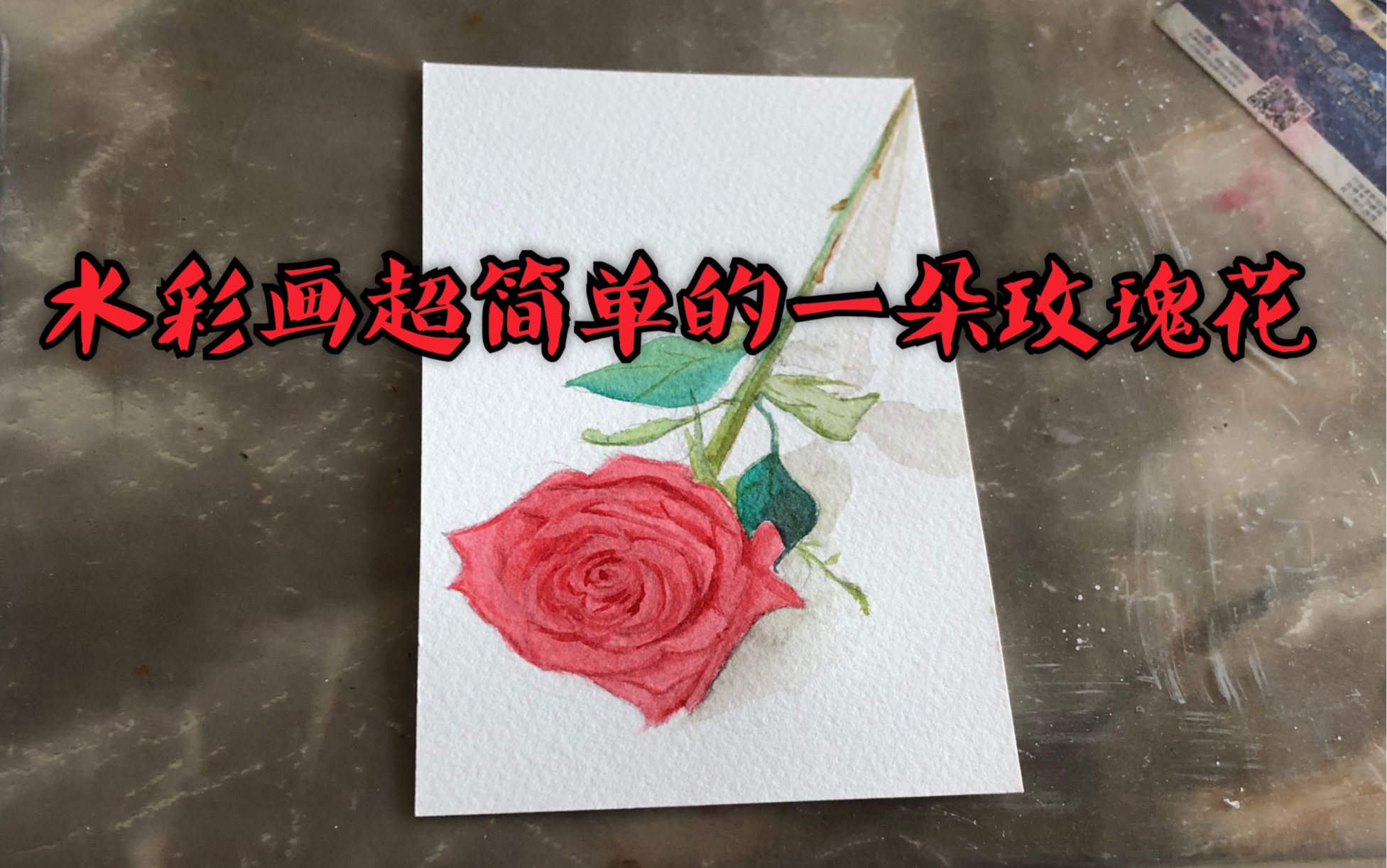 水彩画超简单的一朵玫瑰花,翻车试色,青竹24色固彩,打卡第六天