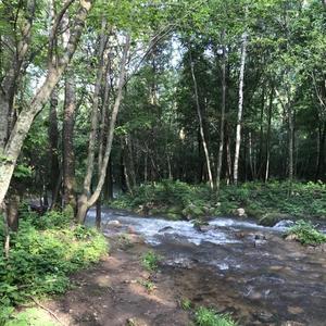 生活从此不在平凡 