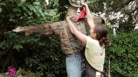 硬核!农田粮食总被吃,主人日薪上千人民币,雇佣真人扮稻草人