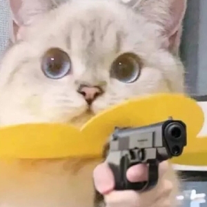 请问阿巴阿巴阿巴 