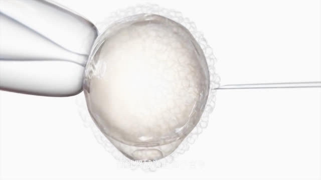 试管婴儿是怎么受孕的?动画演示全过程,母亲真的伟大