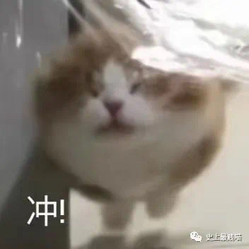 摘星星的羊-DIY小铺子 