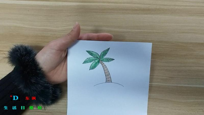 儿童简笔画:椰子树的画法,看到它就有一种到了海边的感觉
