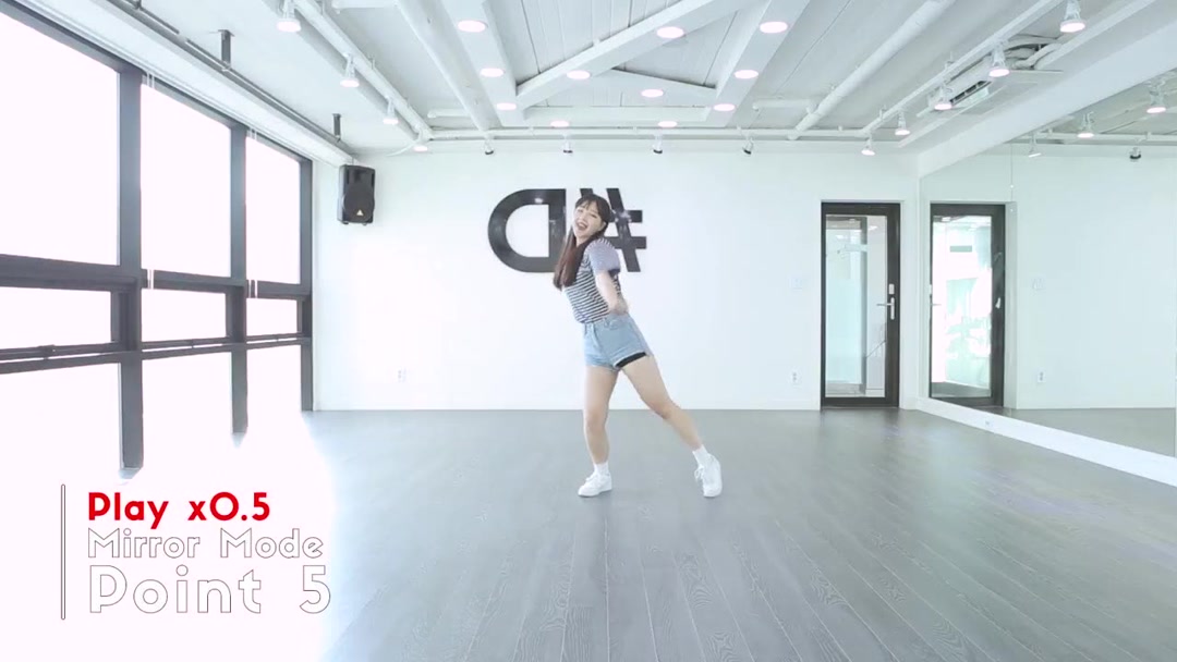 Dreamcatcher - Fly High Point Tutorial (#D-POP Mirror Mode)