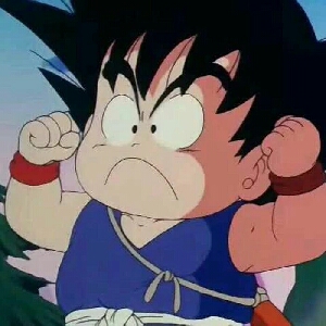 耿直书生 