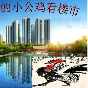 强壮的小公鸡 
