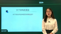 ...二年级 第20201117集 高二 化学(人教版)分子的空间结构(第一课时)