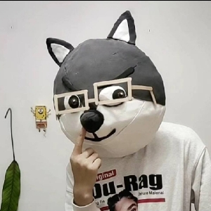 小石头头头头头头 