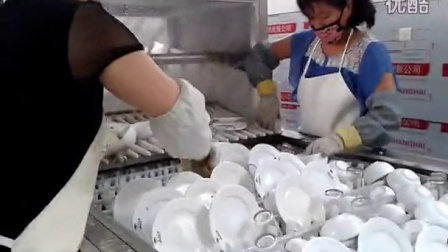 全自动洗碗机视频