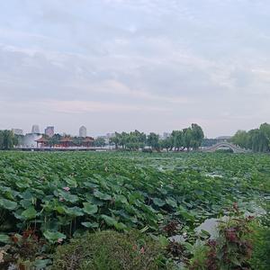 滴度小淘气包 